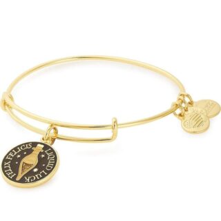 Limited Edition Bangles added to the Alex and Ani Harry Potter Collection - Universal Parks Blog