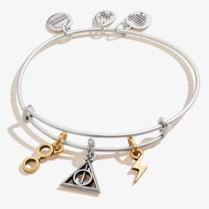 Limited Edition Bangles added to the Alex and Ani Harry Potter Collection - Universal Parks Blog