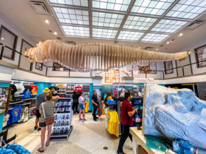 FULL TOUR Inside Universal’s New Jurassic Park Tribute Store ...