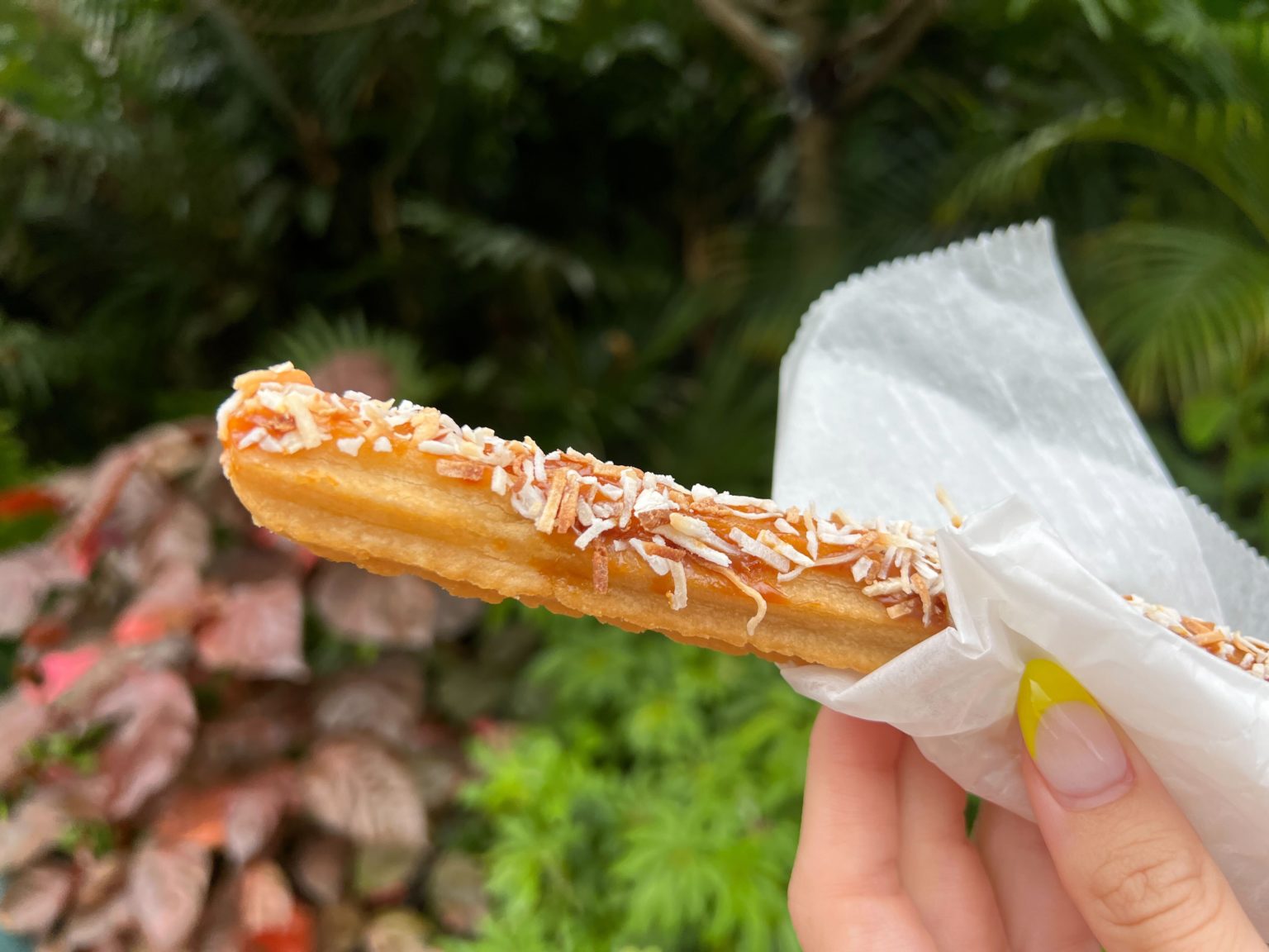 FIRST LOOK: Coconut Cajeta Churro at Natural Selections - Universal ...