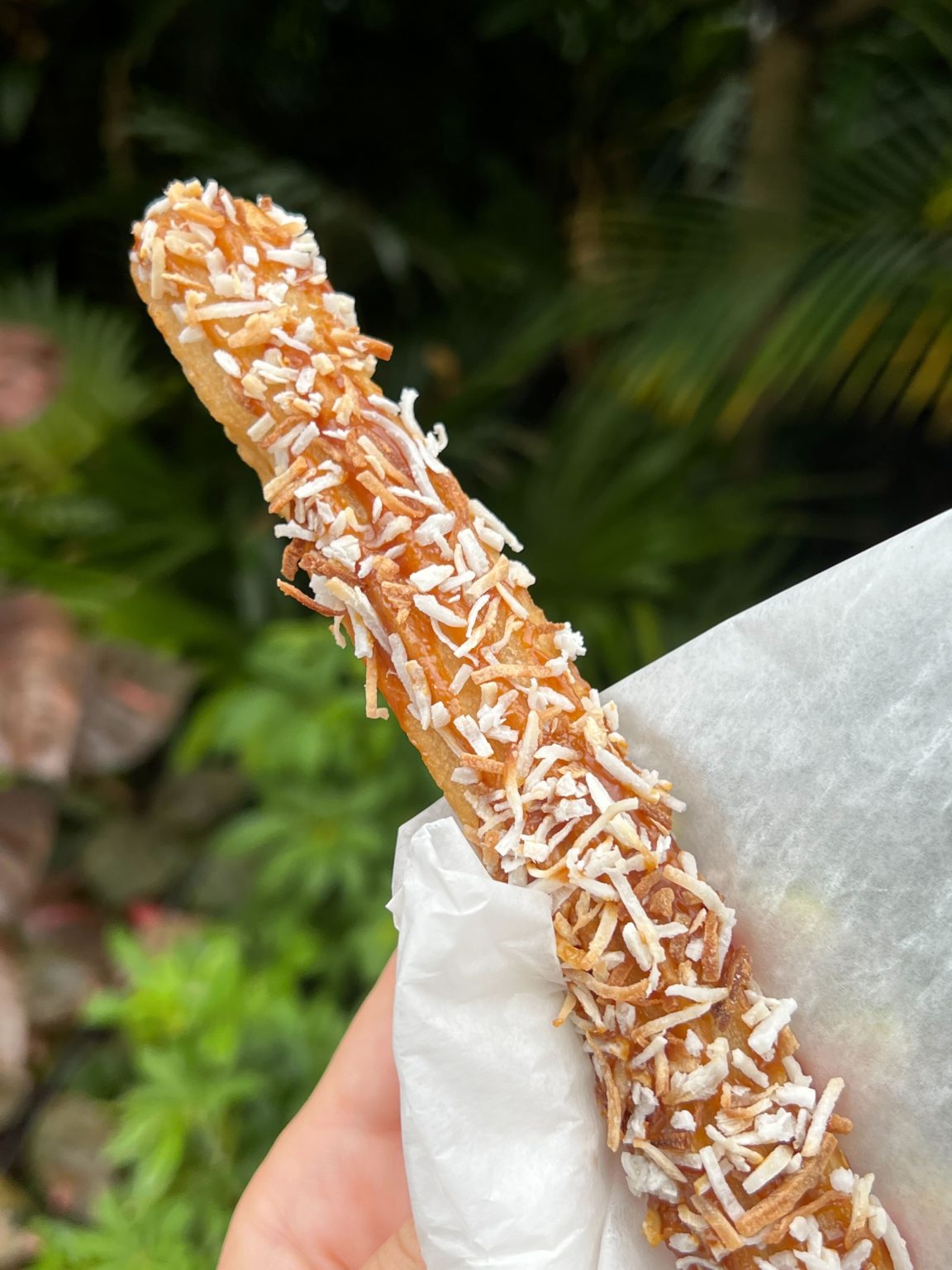 FIRST LOOK: Coconut Cajeta Churro at Natural Selections - Universal Parks Blog