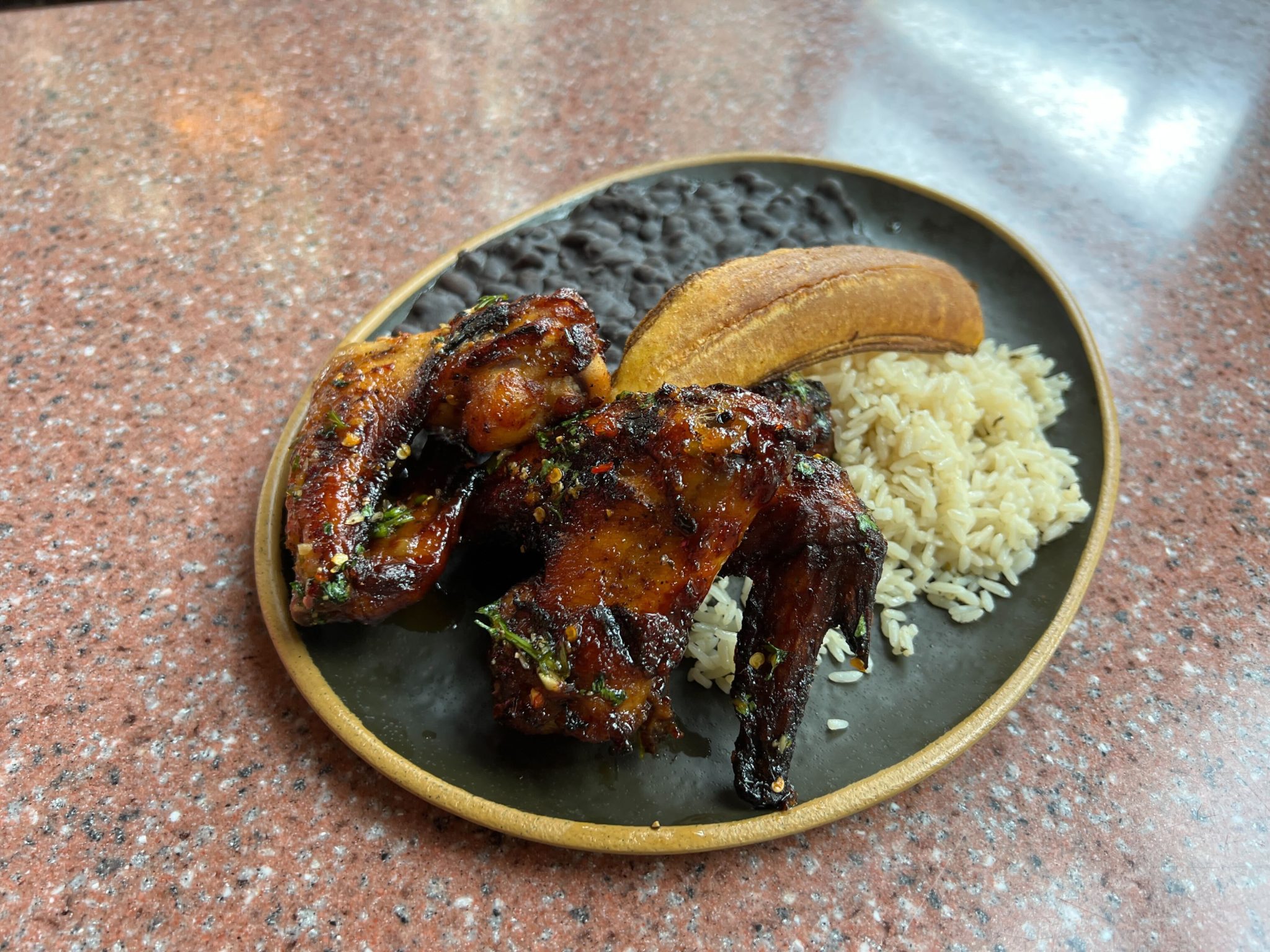 FIRST LOOK: Prehistoric Raptor Wings Platter - Universal Parks Blog