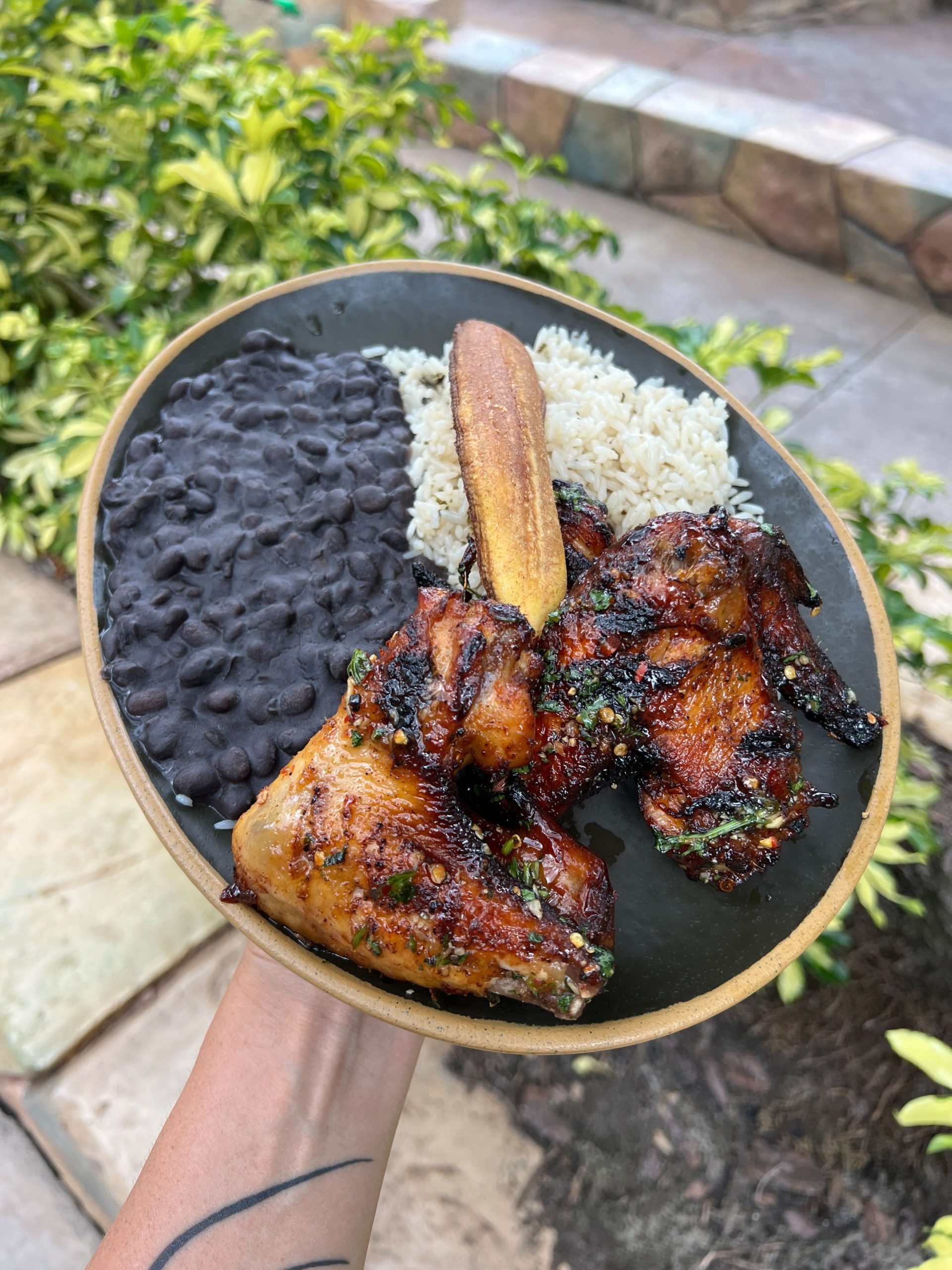 FIRST LOOK: Prehistoric Raptor Wings Platter - Universal Parks Blog