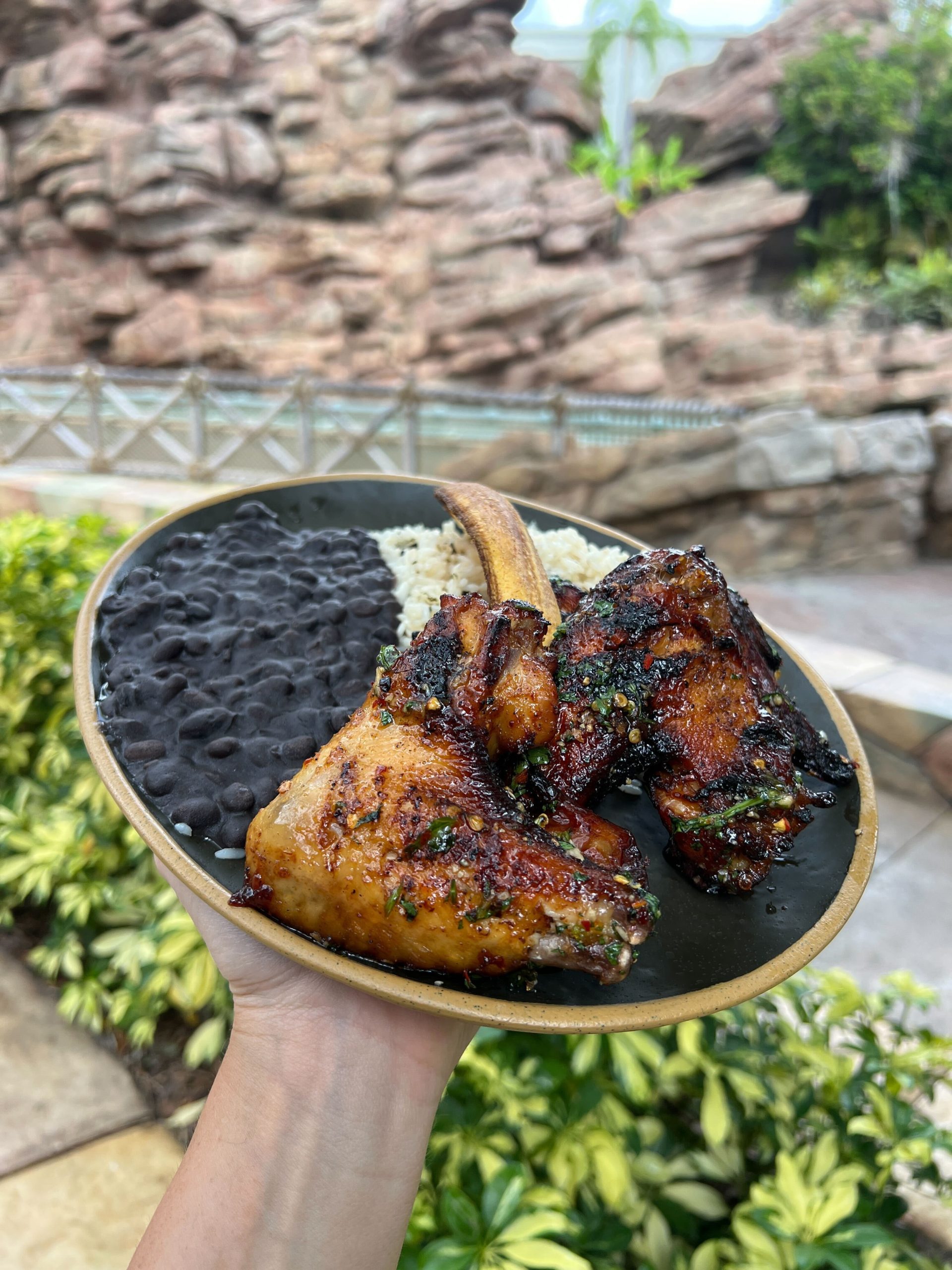 FIRST LOOK: Prehistoric Raptor Wings Platter - Universal Parks Blog