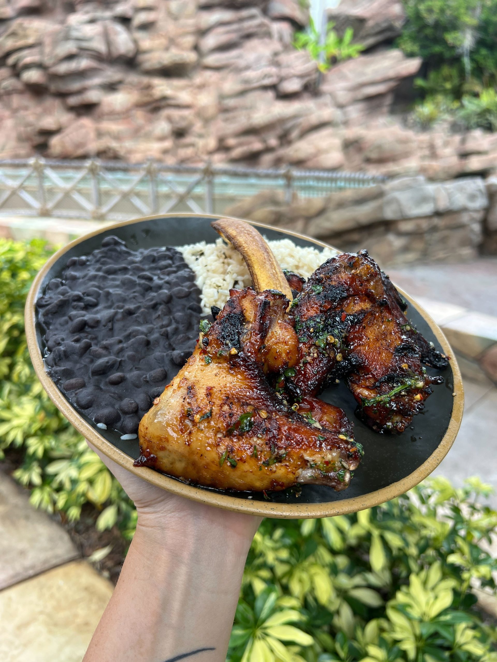 FIRST LOOK: Prehistoric Raptor Wings Platter - Universal Parks Blog