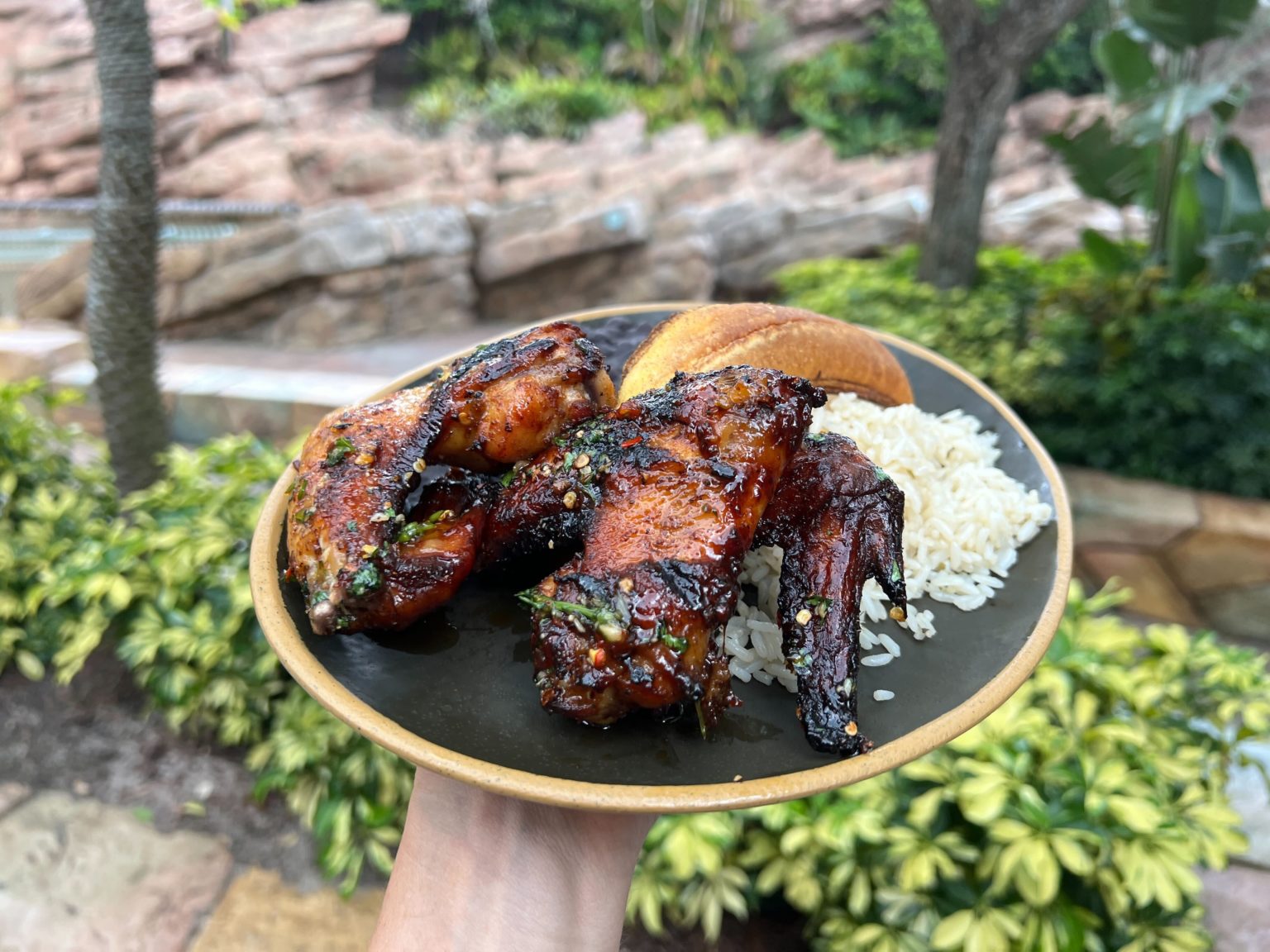 FIRST LOOK: Prehistoric Raptor Wings Platter - Universal Parks Blog