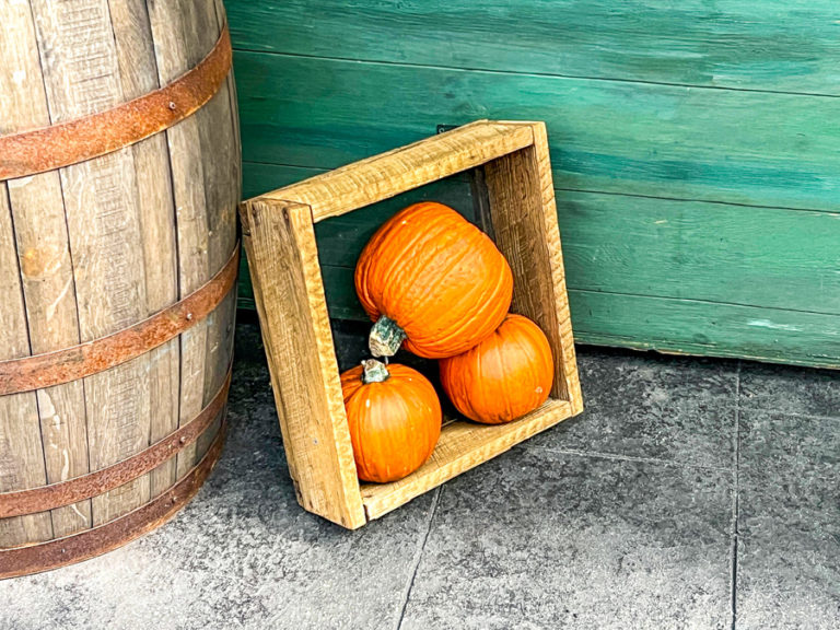 Pumpkins & Other Decor Arrive in Diagon Alley at Universal Studios ...