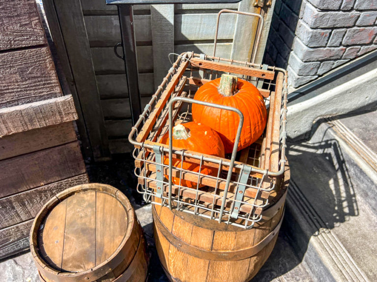 Pumpkins & Other Decor Arrive in Diagon Alley at Universal Studios Florida - Universal Parks Blog