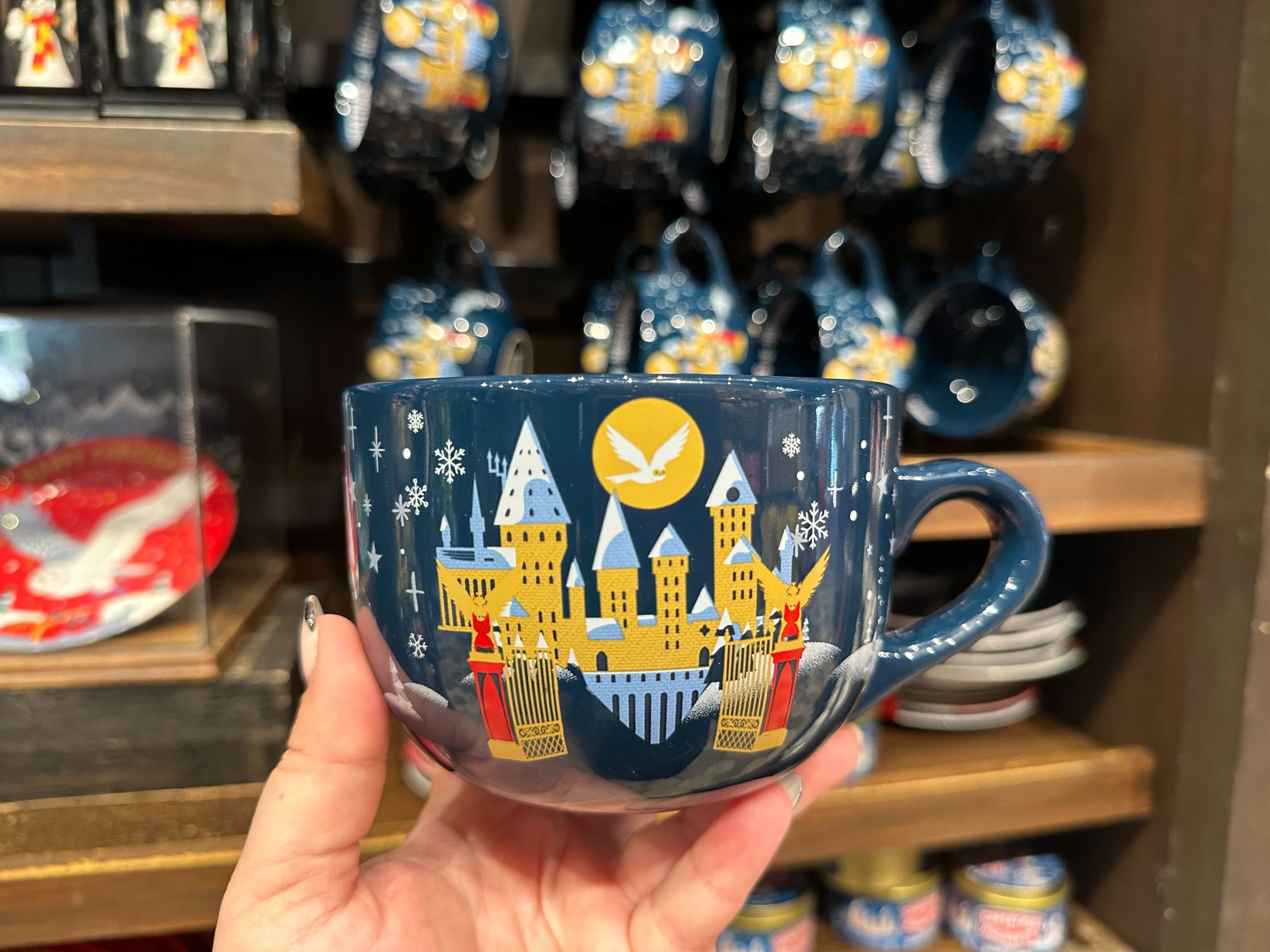 Harry Potter Christmas Merchandise Arrives at Islands of Adventure ...